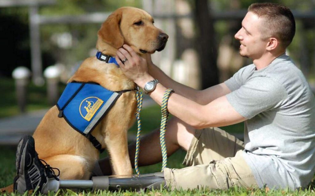 Did You Know September is National Service Dog Month? - Tucker ...